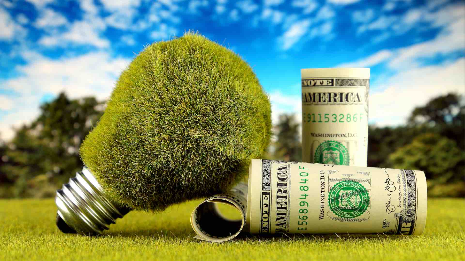 IFC breaks financing record with $56B in 2024, 40% for climate - Jeddah ...